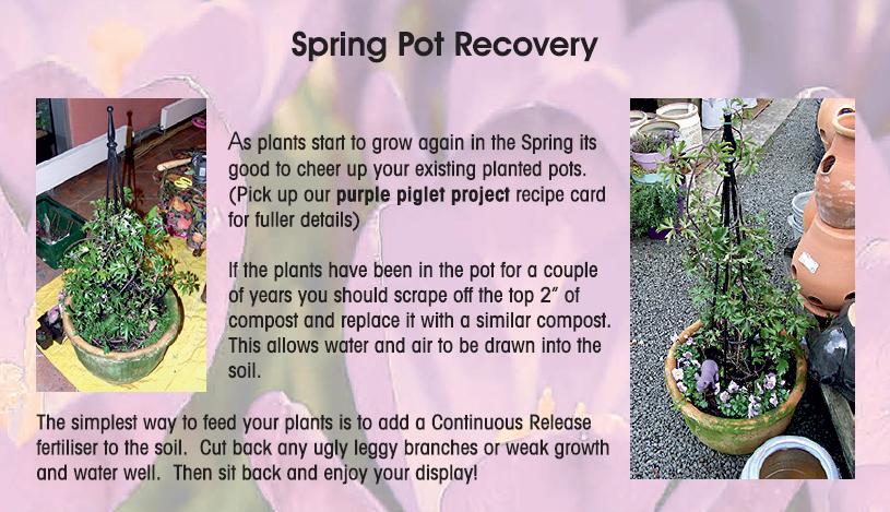 Passionate About Pots - New Hopetoun Garden Centre