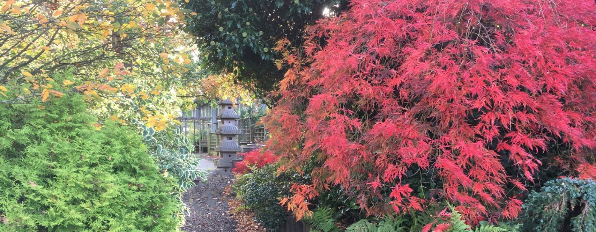 Designer Plant Collections - New Hopetoun Gardens